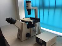 China Trinocular Inverted Biological Microscope For Research Cell Culture for sale