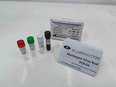 China FAM Monkeypox PCR Test Kit Real Time PCR Fluorescence Probing for sale