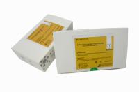China COVID-19 Antigen Rapid Test Kit Antigen Rapid Test Device High Specification for sale