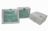 China Disposable 20 Test Professional Rapid Rtk Antibody Test Kit IgG/IgM for sale