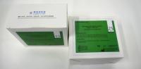 China 95% Professional Dengue IgG IgM Rapid Test Kits 25 Tests for sale