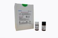 China HbA1C Analyzer Ues Glycosylated Hemoglobin (HbA1c) Calibrator LD-500 Fully Automatic HbA1c Analyzer Test Use for sale