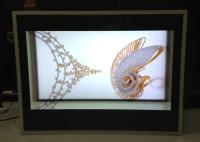 China Commercial 22inch Transparent LCD Display Advertisng Screen With Dynamic Video for sale