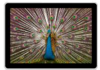 China HD 55 Inch LCD Digital Signage Display USB / SD Card Interface for sale