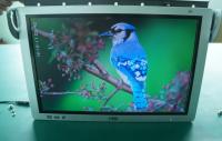 China Indoor 32 Inch Transparent LCD Display With Background Music , XVID GIF PNG for sale