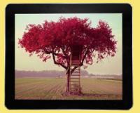 China High Brightness 12