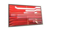 China BOE Digital Lcd Display 21.5
