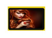 China HD 22 Inch Wall Mount LCD Display waterproof Industry LCD panel for sale