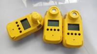 China CH4 CO Portable Gas Detection Monitors Exibd I Explosion Protection for sale