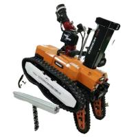China High-quality RXR -MC80BGD explosion proof and scouting all terrain robot for firefighting for sale