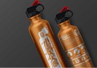 China Portable Water-based Fire Extinguisher 580mL for Vehicle Home Use A B E F Fires for sale