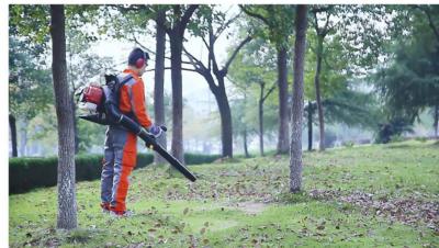 China 75.66cc Forest Fire Mobile Wind Extinguisher with 14.1 m³/min Wind Speed and 2.6 kW Power for Forestry Protection for sale