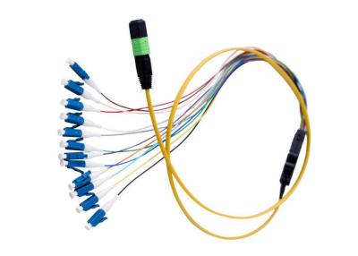 China Flat Round MPO MTP Fiber Optic Patch Cord , 12 Core Ribbon Fiber Cable OFNR Jacket for sale