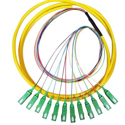 China 12 Core SC 3mm Fiber Optic Pigtail , Single Mode / Multimode Pigtail for sale
