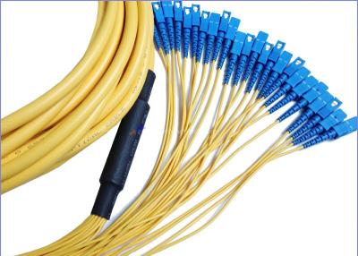 China 12 Core 24 Core SC-SC Fiber Patch Cord for Communication Network And CATV for sale