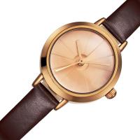 China Shockproof Shell Casual Automatic Watch Waterproof Quartz Women Watch for sale