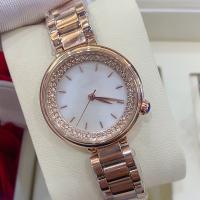 China Customization 8mm Alloy Quartz Wrist Watch Time Display 22cm for sale