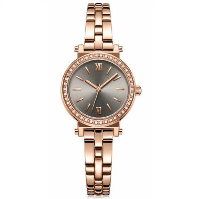 China Tempered Glass Alloy Wrist Watch Belt Female Waterproof Sandblasted Dial for sale