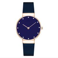 China Two Pin Waterproof Quartz Watch Dia 28mm 12mm Strap Zinc Alloy for sale
