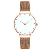 China Two Pin Waterproof Quartz Watch Dia 28mm 12mm Strap Zinc Alloy for sale