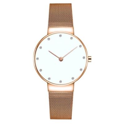 China Two Pin Waterproof Quartz Watch Dia 28mm 12mm Strap Zinc Alloy for sale