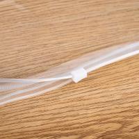 China 2 Inch 1 Inch  Small Plastic zipper Jewelry Bags For Packaging Transparent for sale