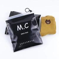 China Frosted Zip Lock Bags For Clothes Travel 4mil 6 Mil  10 Mil Sustainable PVC Plastic for sale