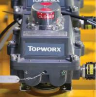 China TOPWORX Valve Position Switch TVL-E20GNPMOK With Direct Mounted Housing for sale