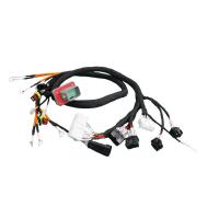 China OEM ODM Electric Vehicle Cable Complete Wiring Harness For Modification for sale