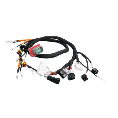China OEM ODM Electric Vehicle Cable Complete Wiring Harness For Modification for sale