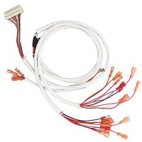 China Electric Vehicle Wiring Harness Multi Receptacle Female 12P Terminal Cable for sale