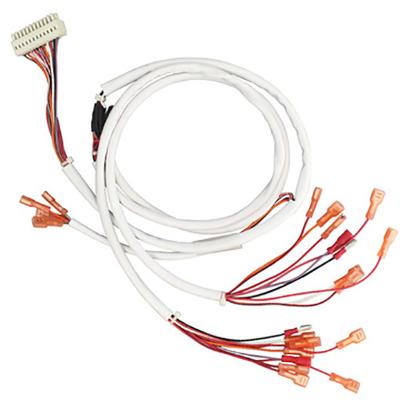 China Electric Vehicle Wiring Harness Multi Receptacle Female 12P Terminal Cable for sale
