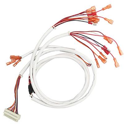 China Multi Receptacle Electric Vehicle Wiring Harness Female 12 Pin Terminal Cable for sale