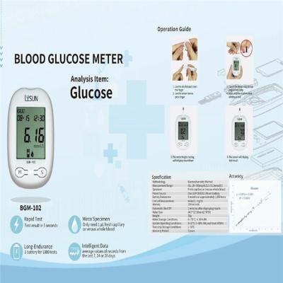 China HZ BGM-102 Blood Sugar Test Meter LCD Display Glucometer Kit for sale