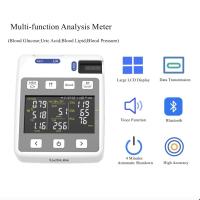 China Reflectance Photometer Uric Acid Cholesterol And Glucose Meter Kit 365g for sale
