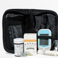 China Customization acceptable Handheld Electronic Home Use Blood Glucose Meter BGM-101/101N for sale