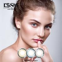 China Holiday Brown Blue Grey 1 Year Soft Color Contact Lens Fast Delivery for sale