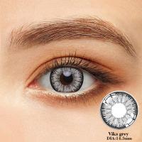 China OEM Natural Grey Color Contact Eye Lens Yearly Cosmetic For Male And Female for sale