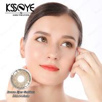 China HEMA Natural Brown Contacts Lens 14.5mm Dia Yearly Disposable Non Prescription for sale