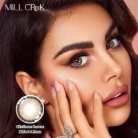 China Cosmetic Natural Contact Lenses For Eyes Prescription With Diopter Large Diameter for sale