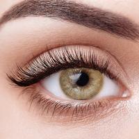 China AURORA QUEEN Colored Eye Contact Lenses Natural HEMA 14.2mm For Cosplay Myopia for sale
