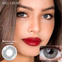 China Eye Eco Gray Contact Lens 14.5 Mm Contact Lens for sale
