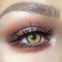 China Natural Color hazel Himalaya Brown Colored Contacts 1 Year For Big Eye for sale
