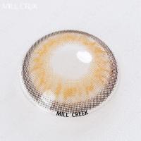 China Natural Color hazel Himalaya Brown Colored Contacts 1 Year For Big Eye for sale