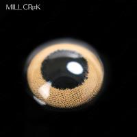 China Yearly Slate Gray Disposable Colored Contacts Lenses For Eyes for sale