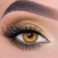 China Oem Water Content Russian Dark Hazel Brown Lens Contacts 14mm for sale