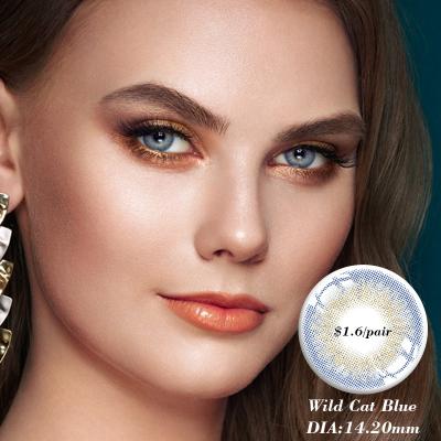 China Custom Prescription Colored Contacts Toric Brown Blue For Light Eyes for sale