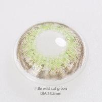 China Little Wild Cat Brown Green Amber Contact Lenses Blue Prescription Contacts for sale