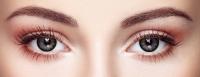 China ODM Realistic Circle Black Rim Contact Lenses 14.5mm For Big Eyes for sale
