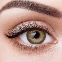 China Zero Prescription Colored Hazel Honey Brown Contact Lens For Dark Eyes for sale